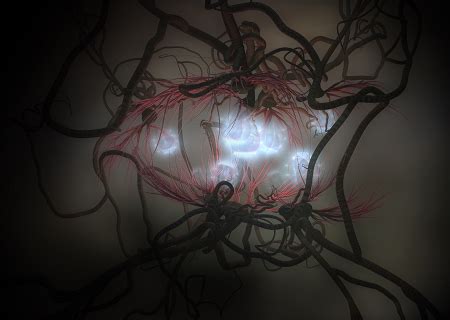 The Art Of Non Deterministic Behaviour