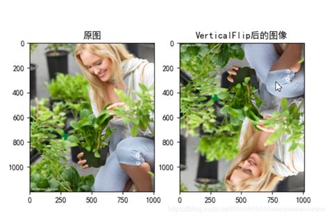 图像增强库albumentations使用总结 Csdn博客