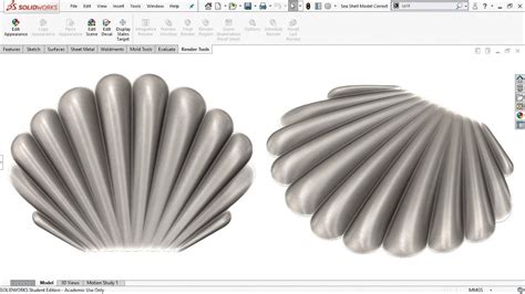 Become A Solidworks Pro Mastering Sea Shell Design With 10 Expert