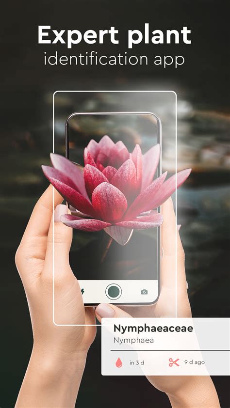 Insight App Limited Plant Identifier Insect Id Insight App Limited Plant Identifier Insect Id