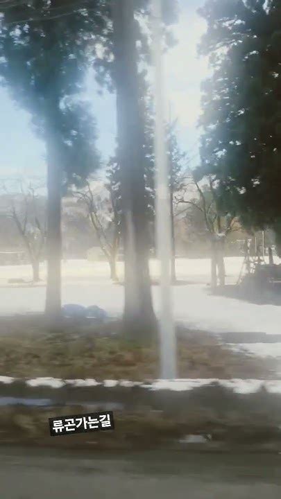 도쿄에 있는 에치고유자와 류곤숙소가는길 Youtube