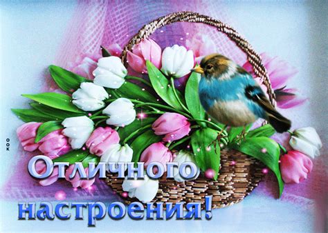 Романтичная и чувственная гиф открытка Отличного настроения Скачать бесплатно на