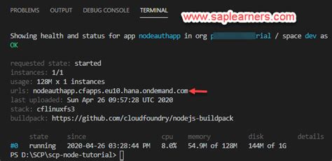 authentication in node js sap cloud foundry applications
