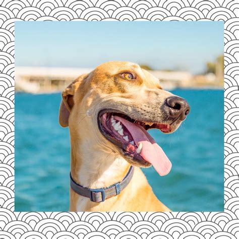 Sofianas Photography Added A New Sofianas Photography