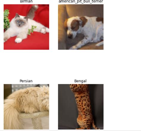 Image Classification Using Fastai — Tutorial Pt1 By Olabisi Bello