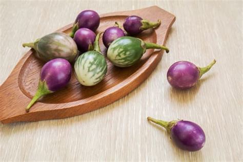 How Big Can Cockroach Poop Get