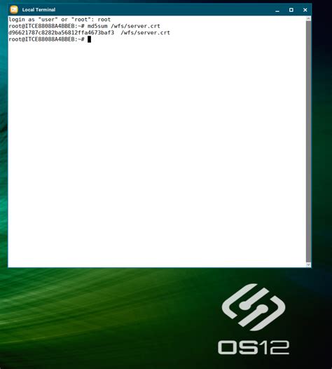 Netscaler Endpoint Analysis And Igel Os A Nice Way To Protect Your Infrastructure From
