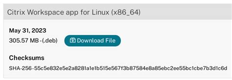 Linux Local Storage Access From Citrix Workspace Windows Rdp Via Veracrypt [control C]