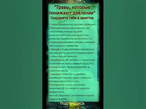 Травы, которые понижают давление . - YouTube