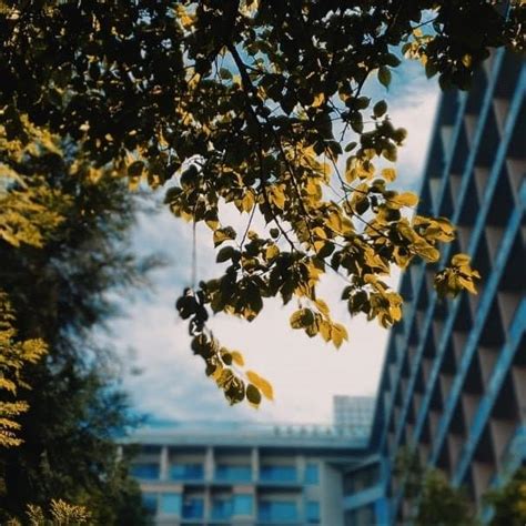 이슬람 궁금하다면 너희들의 인간으로서의 의무를 좀 더 용이하게 하기 위해서 이 세상에 있는 모든