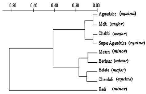 Dendrogram Based On Neis 1978 Genetic Distance Upgma Modified