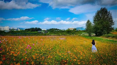 Playlistㅣ스치면 인연이고 스며들면 사랑이래🥰 Youtube