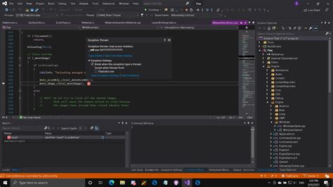 Flax Engine Crashed When Updating C Script · Issue 199 · Flaxengine