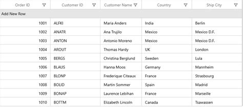 Crud Operations In Winui Datagrid Control Syncfusion®