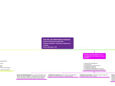 Via De Las Pentosas Fosfato Nombre David Mind Map