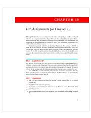 LAB Assignment IP ICMP Pdf CHAPTER Lab Assignments For Chapter Although The Internet