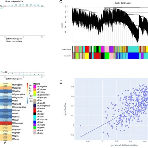 Identification Of Ra Related Module A Graph Of Scale Independence Download Scientific Diagram