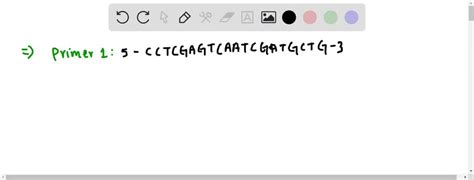 solved polymerase chain reaction one strand of a chromosomal dna