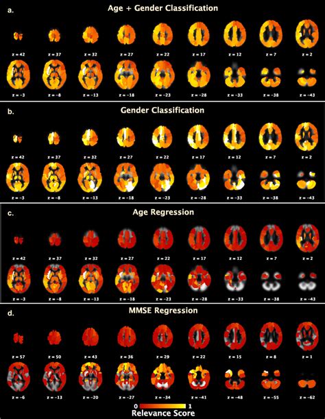Visualization Of Task Specific Distributions Of Discriminative