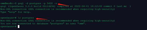 opengauss每日一练第2天 opengauss客户端工具gsql的使用 墨天轮