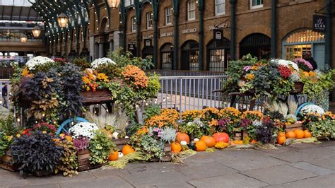 The Ultimate Guide To Halloween In London South Western Railway