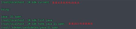 使用sdkman在linux系统上安装jdklinux安装sdkman Csdn博客