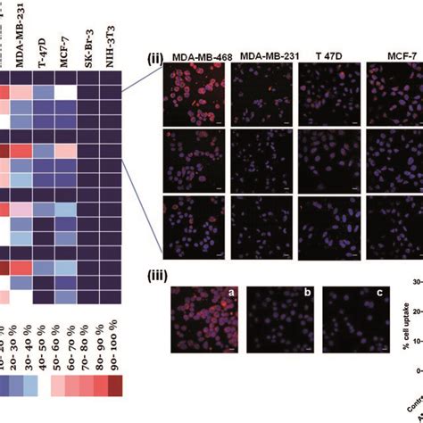 I Hierarchical Clustering Analysis Hca Of Cellular Internalization Download Scientific