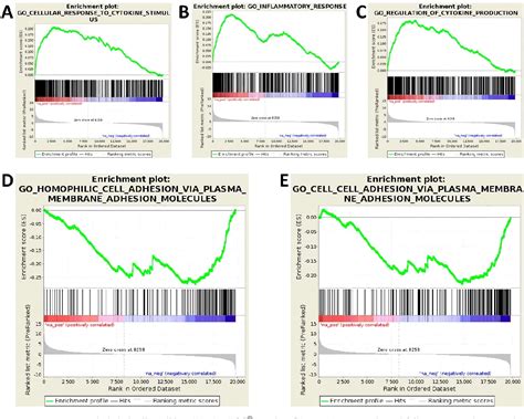 Figure 1 From Loss Of Endothelial Barrier Function In The Inflammatory