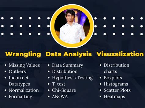 an insightful dashboard analyzing your raw data upwork