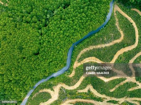 The Edge Of The Tree Line At A Clear Cut Logging Site High Res Stock