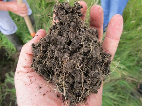 Fundamentals Of Soil—online Masterclass With Dr Christine Jones Harcourt Farming Co Op