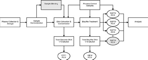 Sample Processing Workflow The Diagram Depicts The Major Sample Download Scientific Diagram
