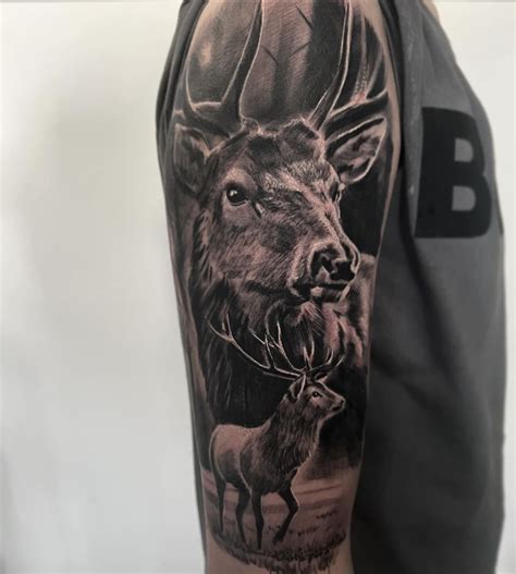 Realistic Stag Tattoos Deer Tattoo By Jacob Sheffield Post 19663