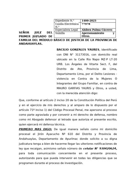Apersonamiento Bacilio Pdf Gobierno Justicia