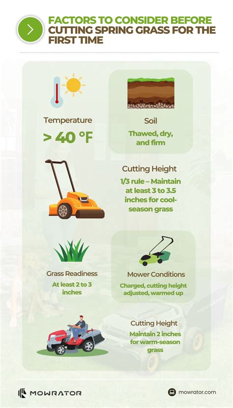When To Cut Grass In Spring Mowrator