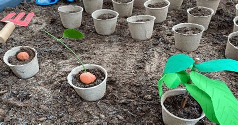 Make A Cocoa Nursery Earth Cubs