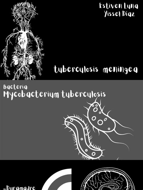 Tuberculosis Meníngea Síntomas Y Tratamiento Pdf