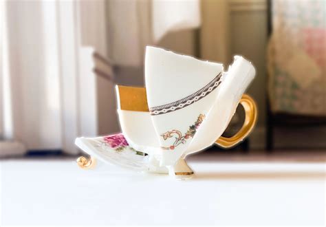 About 4 — Delaina Doshi