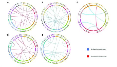 Comparison Of The Static Functional Connectivity Of The Three Groups