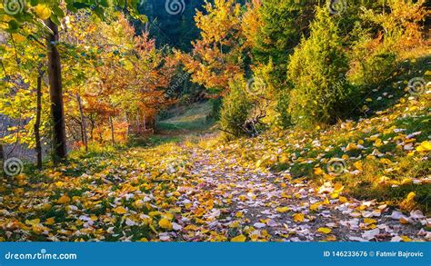 The Beautiful Autumn Landscape October Colors The Beauty Of Autumn