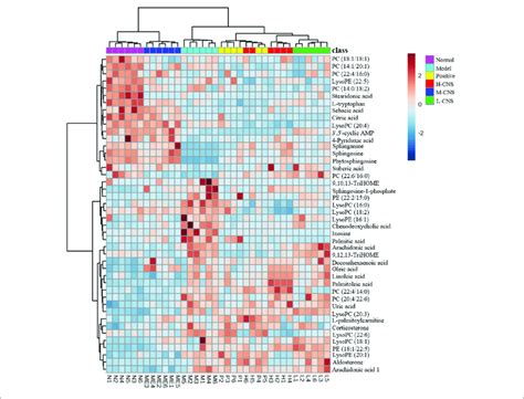 Heatmap Of Potential Biomarker Intensities In Different Groups Download Scientific Diagram