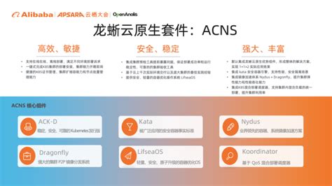 linux 技术委员会主席杨勇：下一代操作系统展望｜2022云栖龙蜥实录 openanolis龙蜥社区 segmentfault 思否