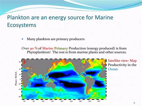 Plankton Isolation Classification Pptx