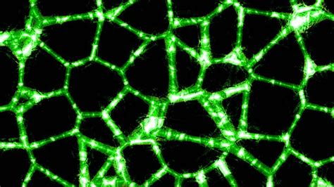 Abstract Neural Networks In Motion Design Abstract Biological Neural Networks On Black