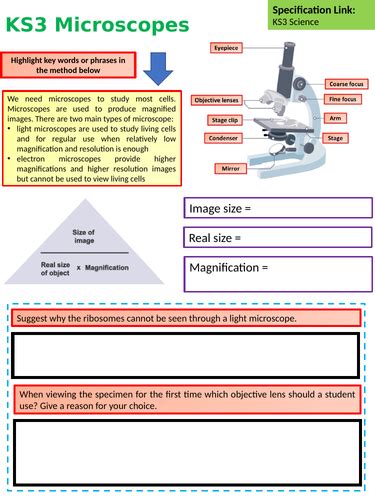 Ks3 Science Using Microscopes Lesson And Activities Teaching Resources