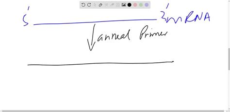 Solved In The Microarray Procedure What Molecule Is Labeled With A Fluorescent Tag Multiple
