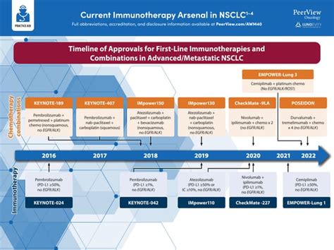 Strategies For Immunotherapy Success In Nsclc How To Incorporate
