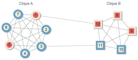Voter Model Examines How Opinions Spread Between Social Networks