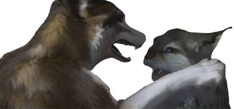 Kiche Vs Lynx By Dracoawesomeness On Deviantart