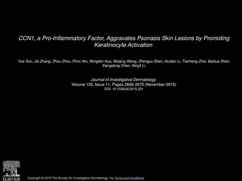 ccn1 a pro inflammatory factor aggravates psoriasis skin lesions by